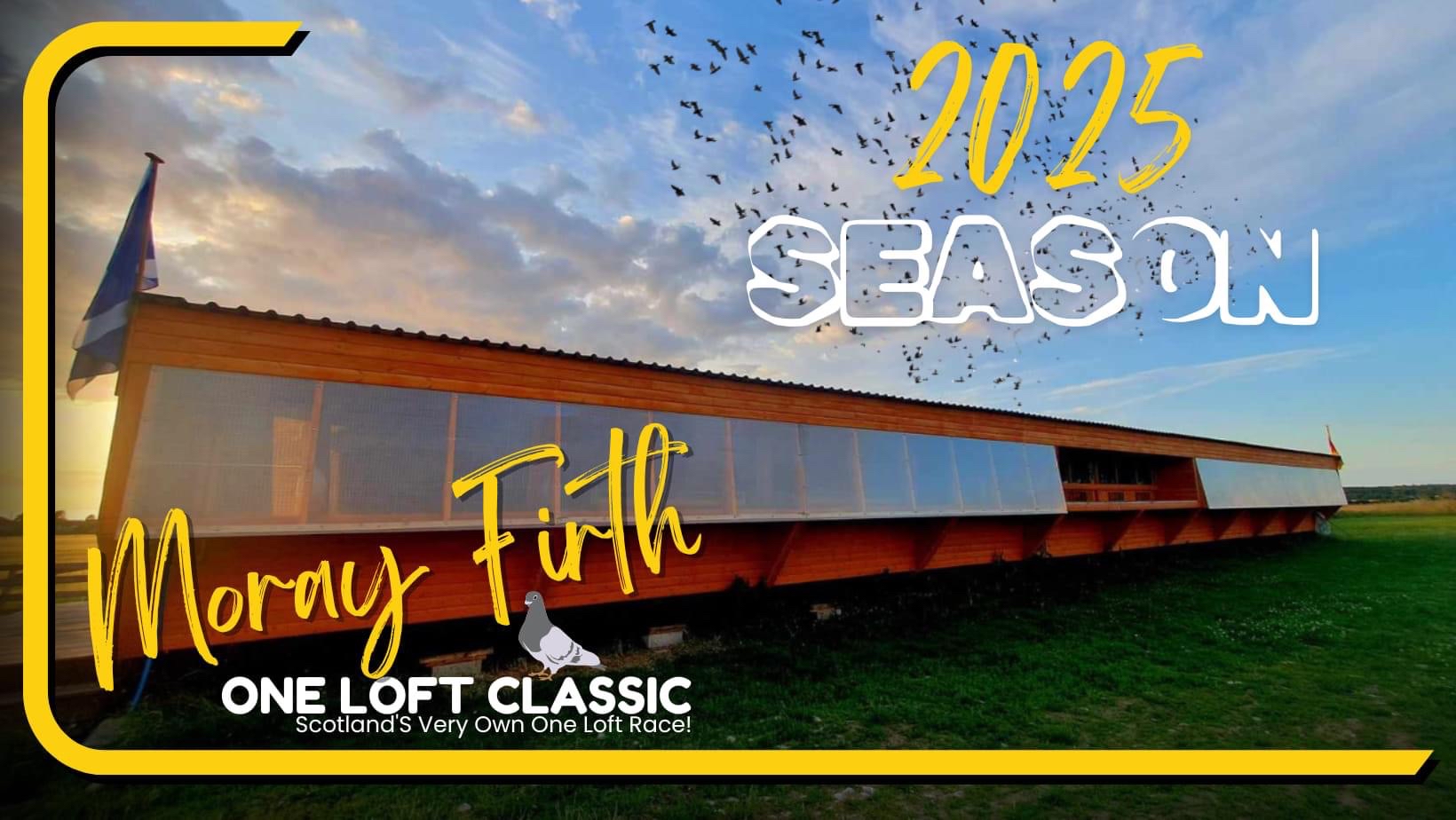 Moray Firth One Loft Classic – Beyond Limits Pigeons